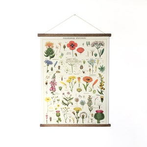 Wildflowers Specimens Poster Vintage Poster Botanical School Chart - Etsy
