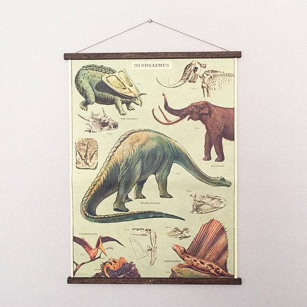 Dinosaur Chart Poster - Etsy