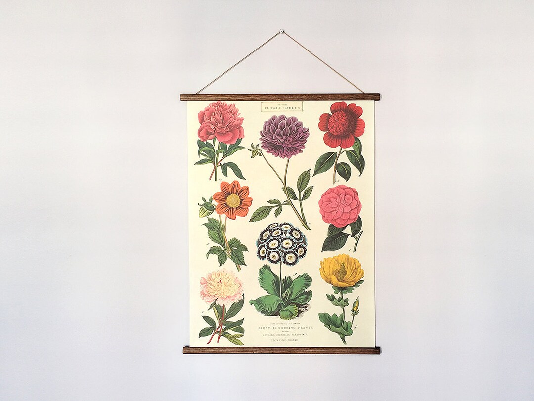 Flower Garden Vintage Poster Botanical School Chart - Etsy