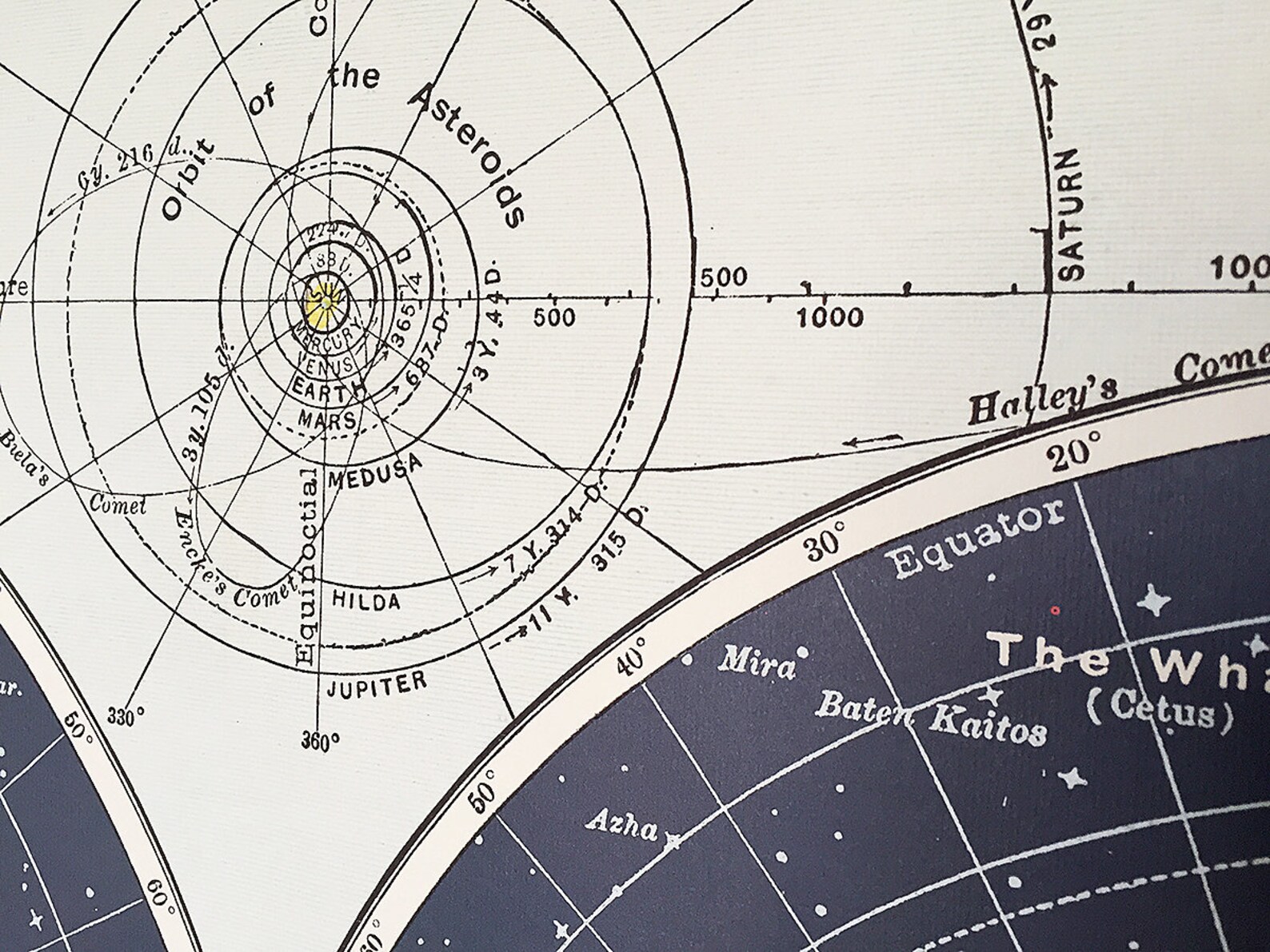 Celestial Vintage School Chart Poster With Tasmanian Oak Wooden Hangers ...