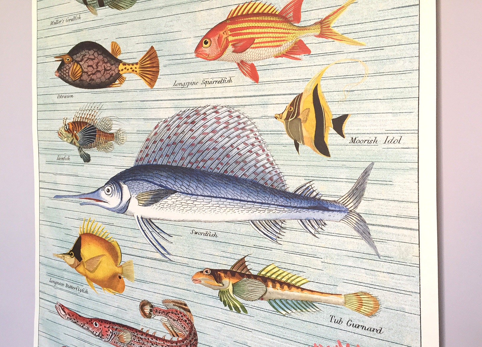 Tropical Fish Chart Poster