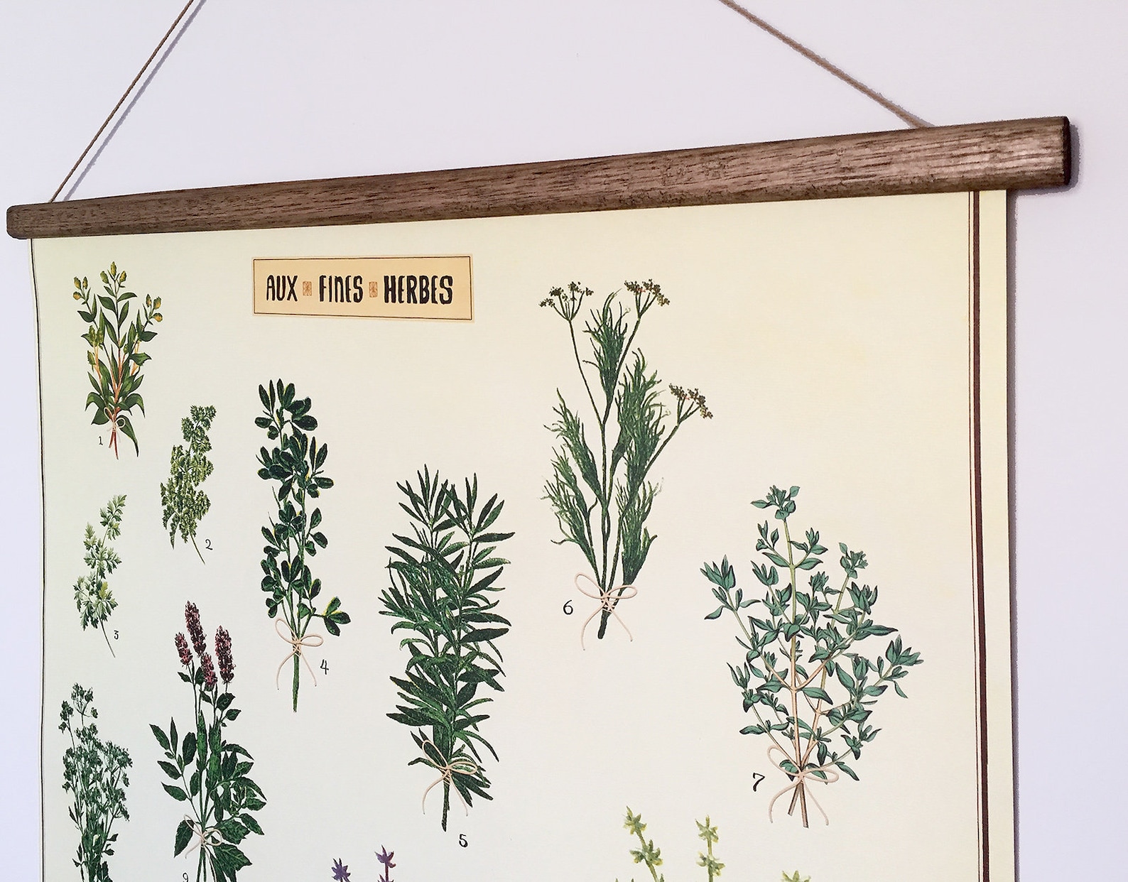 Kitchen Herbs Vintage Botanical Poster School Chart - Etsy