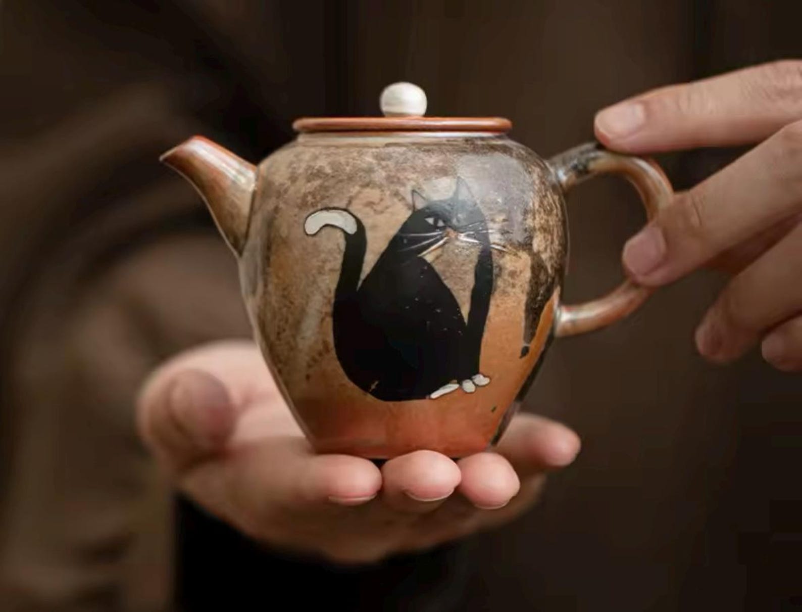 Ceramic Tea Pot/ Cat Tea Pot/ Small Teapot/ Japanese Tea Pot/ Wood ...