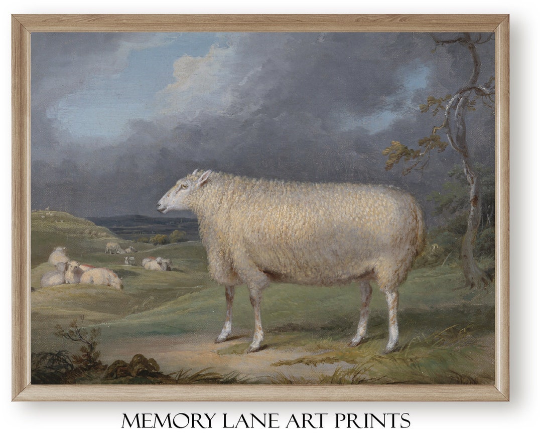 Vintage Sheep Oil Painting Art Print 5 X 7, 8 X 10, 11 X 14, PNG File ...