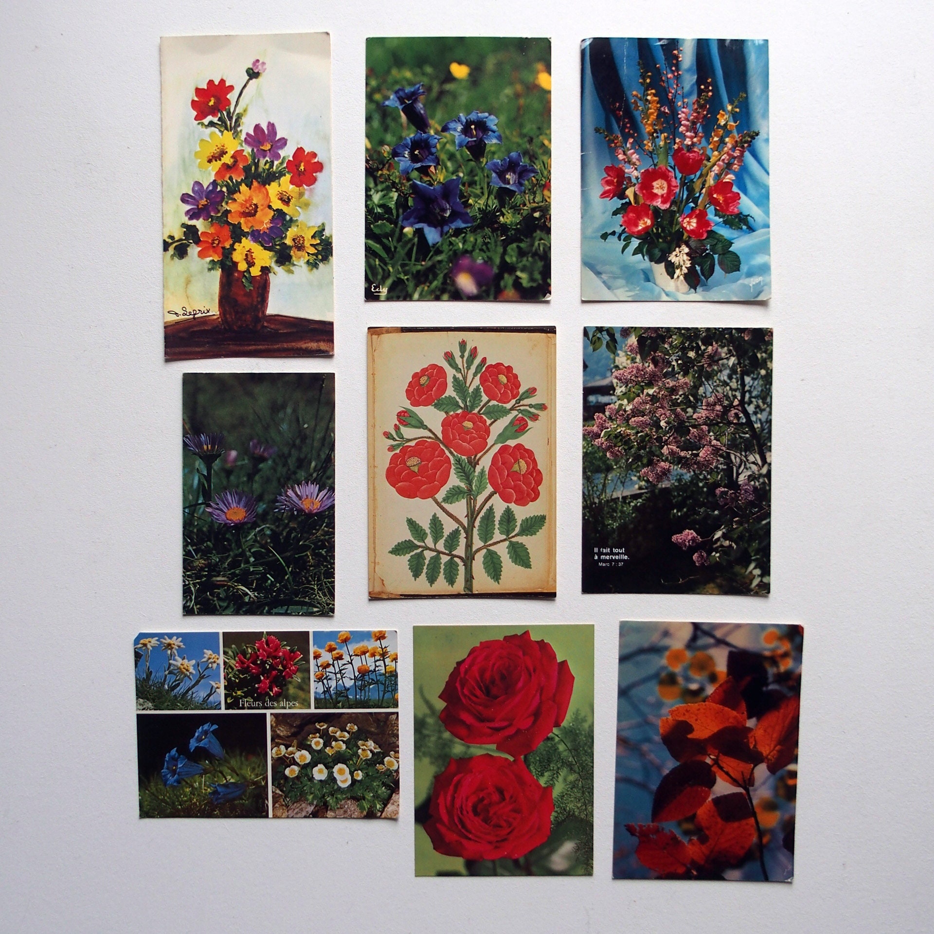 Collectibles flowers vintage 60's 70's Lots of old international ...