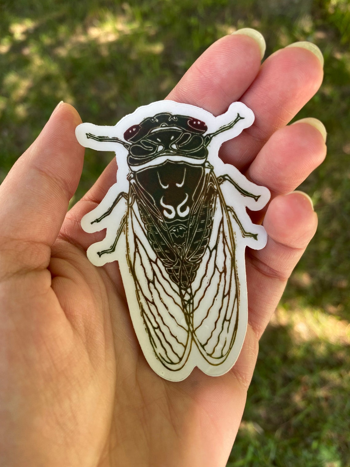 Transparent Cicada Sticker 3 | Etsy