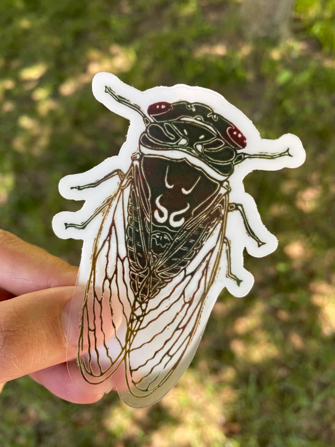 Transparent Cicada Sticker 3 - Etsy