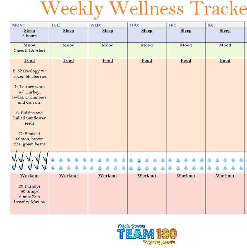 Wellness Tracker - Etsy
