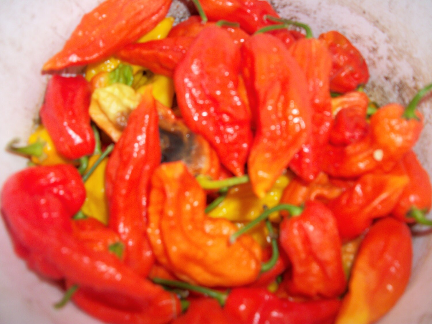 Hot Pepper Powder / Grind / Mix / Blend --- Habaneros; Ghost; Serrano ...