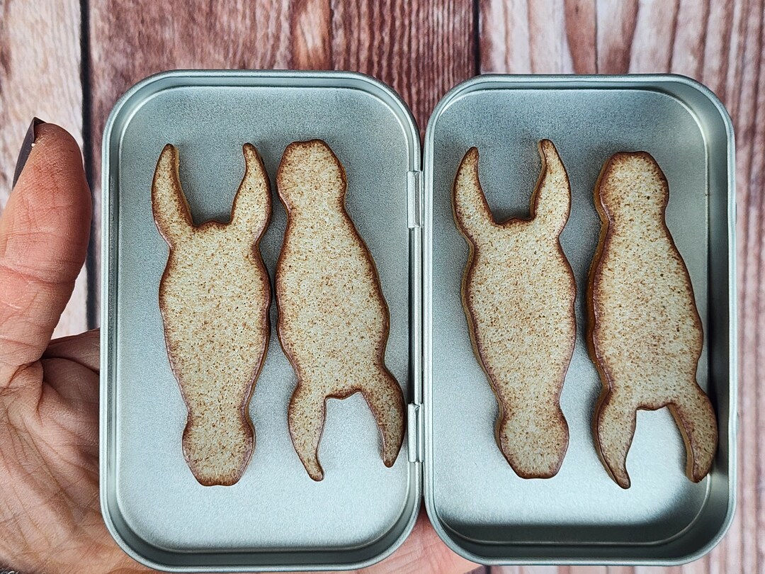 Set of 4 Mule Head Refrigerator Magnets, Locker Magnets for Mule Lovers ...