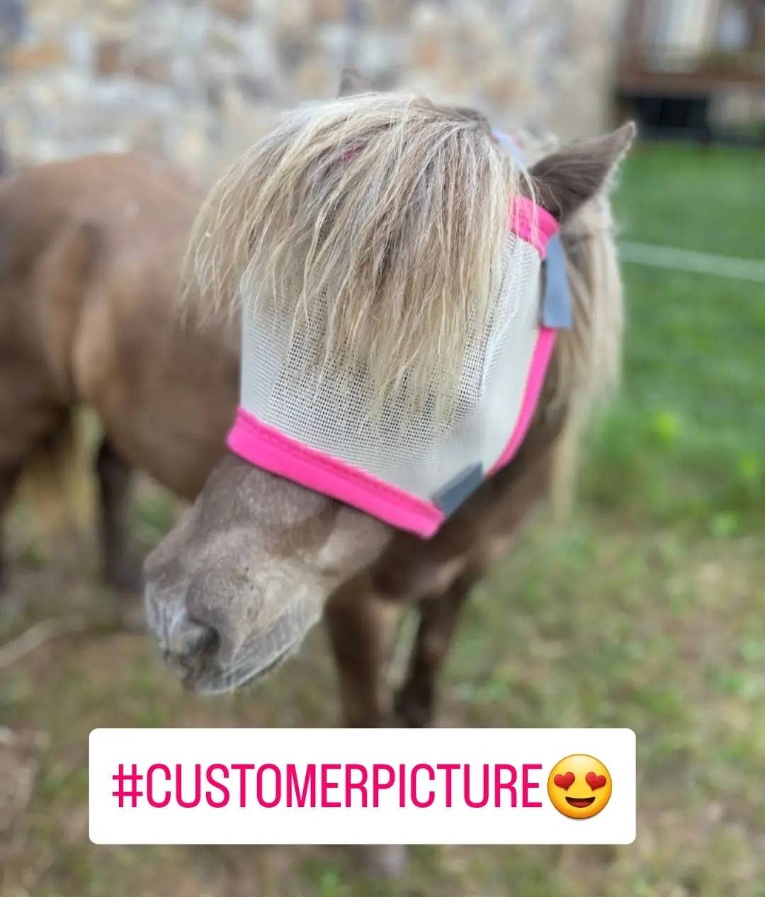 Fly Mask for Minis, Ponies, Foals, Donkeys, Handmade in the USA Montana ...