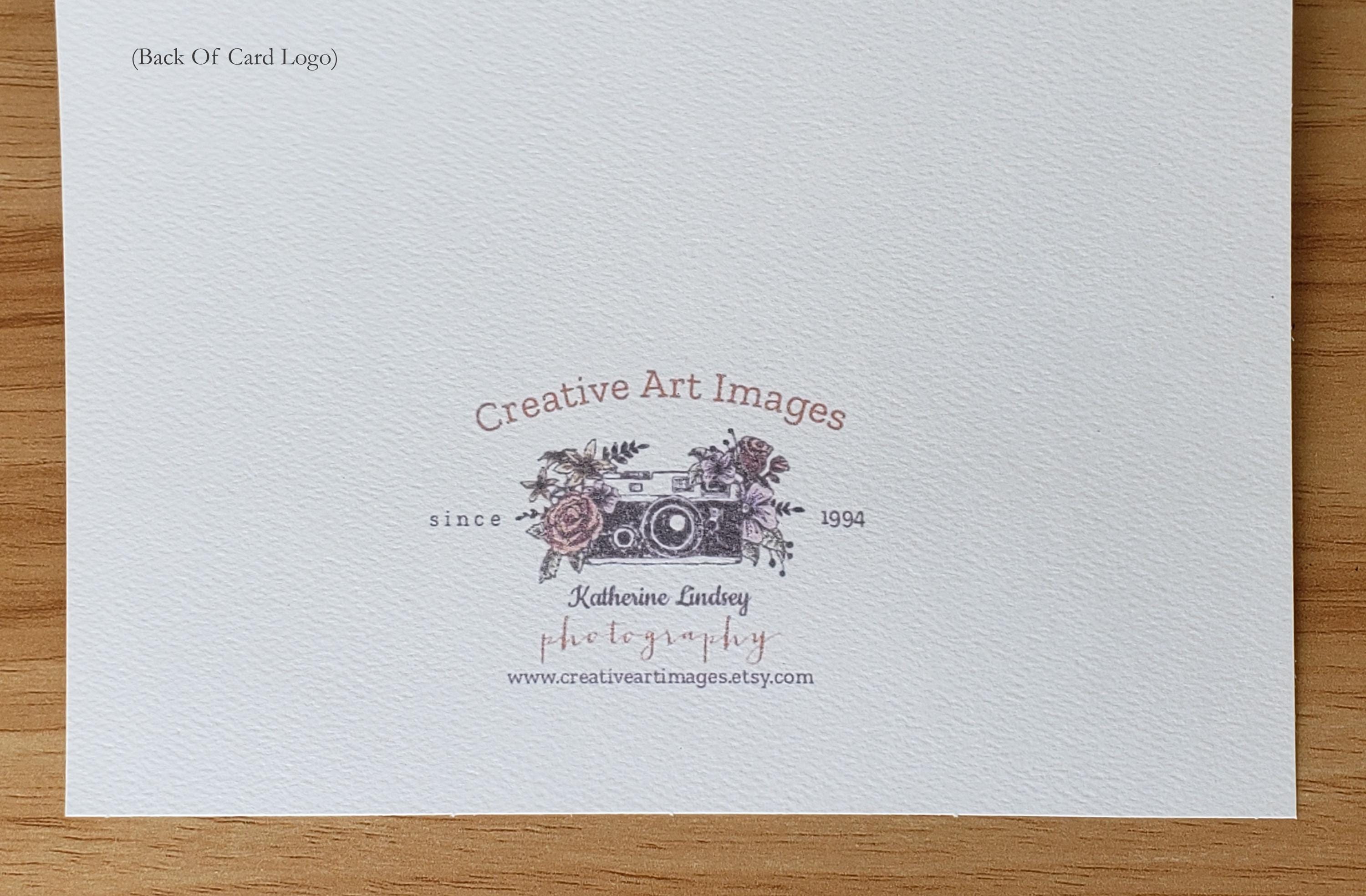 White Nemesia Note Card, Greeting Card, Embossed Card, Blank Inside ...