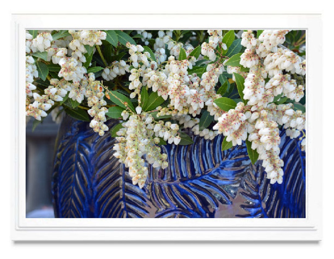 White Floral Note Card, White Floral Stationary, Blank Inside Card ...