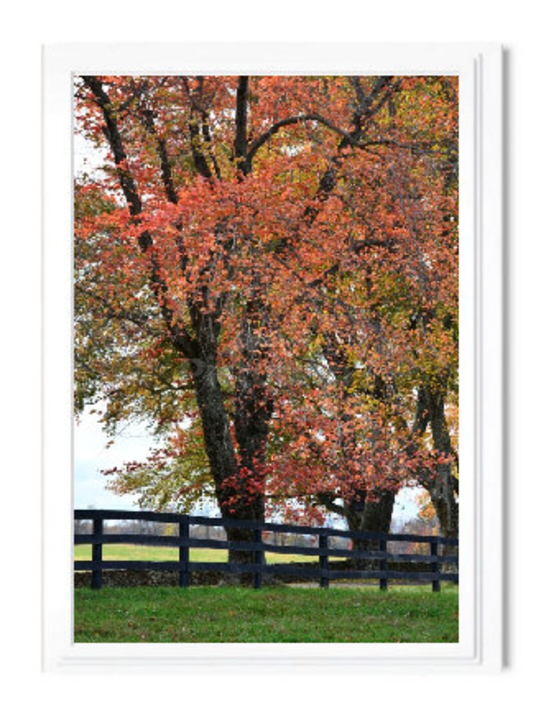 Fall Foliage Note Card vertical Fall Stationary Blank - Etsy