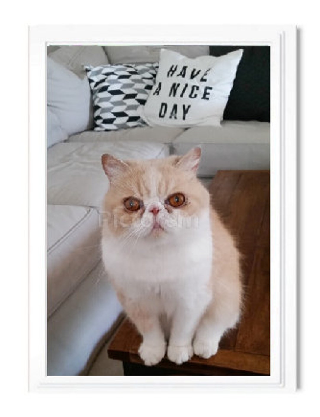 Cute Cat Note Card vertical Cat Stationary Blank Inside - Etsy