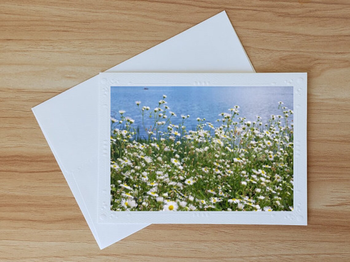 White Daisy Note Card, White Daisy Stationary, Blank Inside Card ...