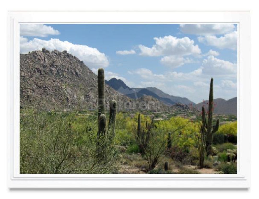 Arizona Desert Note Card, Desert Greeting Card, Blank Inside, Embossed ...
