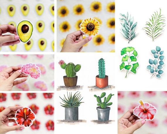 Sticker Pack of 13 Floral Sticker Pack Cactus Sticker Pack - Etsy