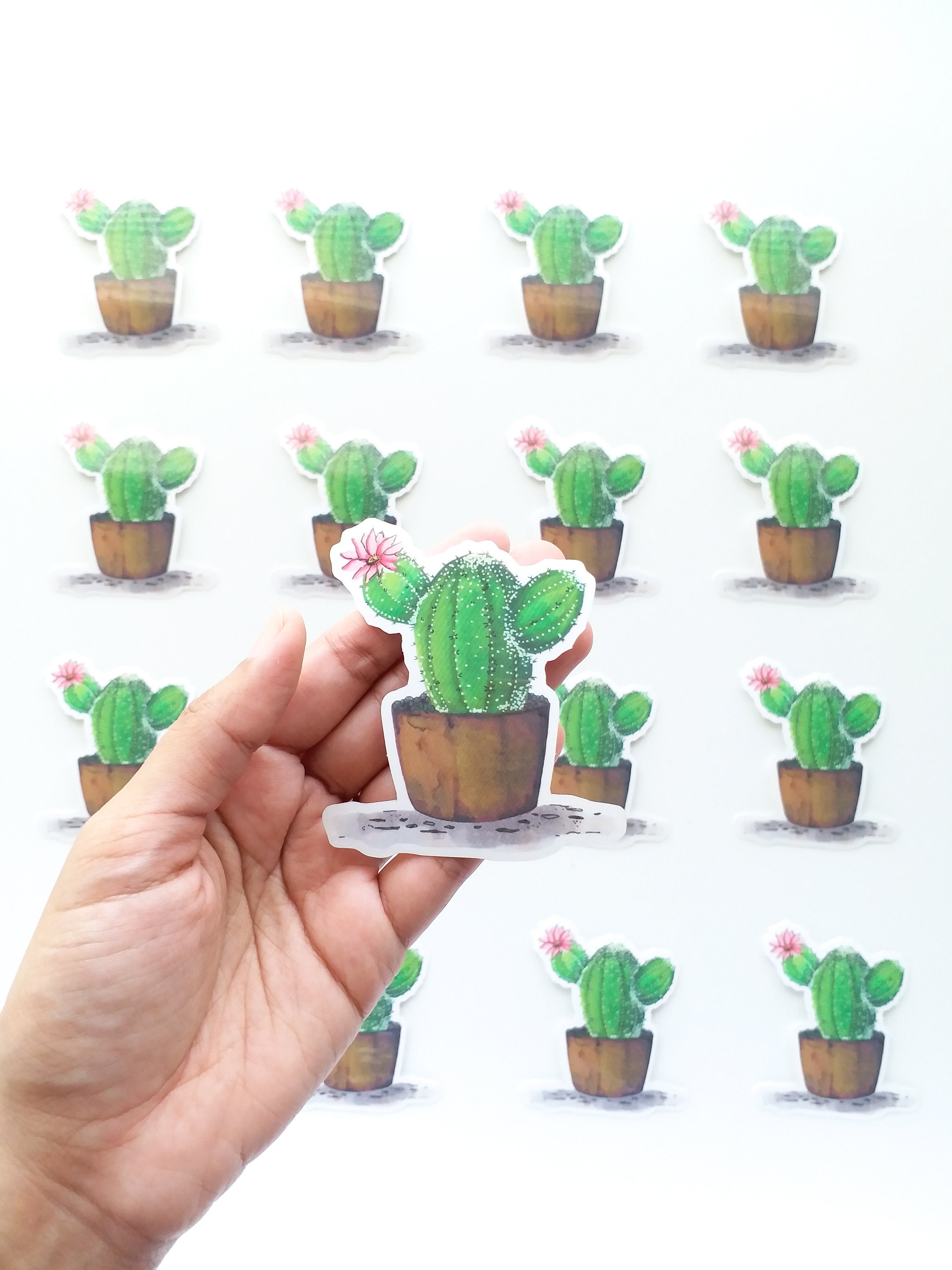 Cactus Sticker Pack Laptop Stickers Vinyl Sticker Bullet - Etsy