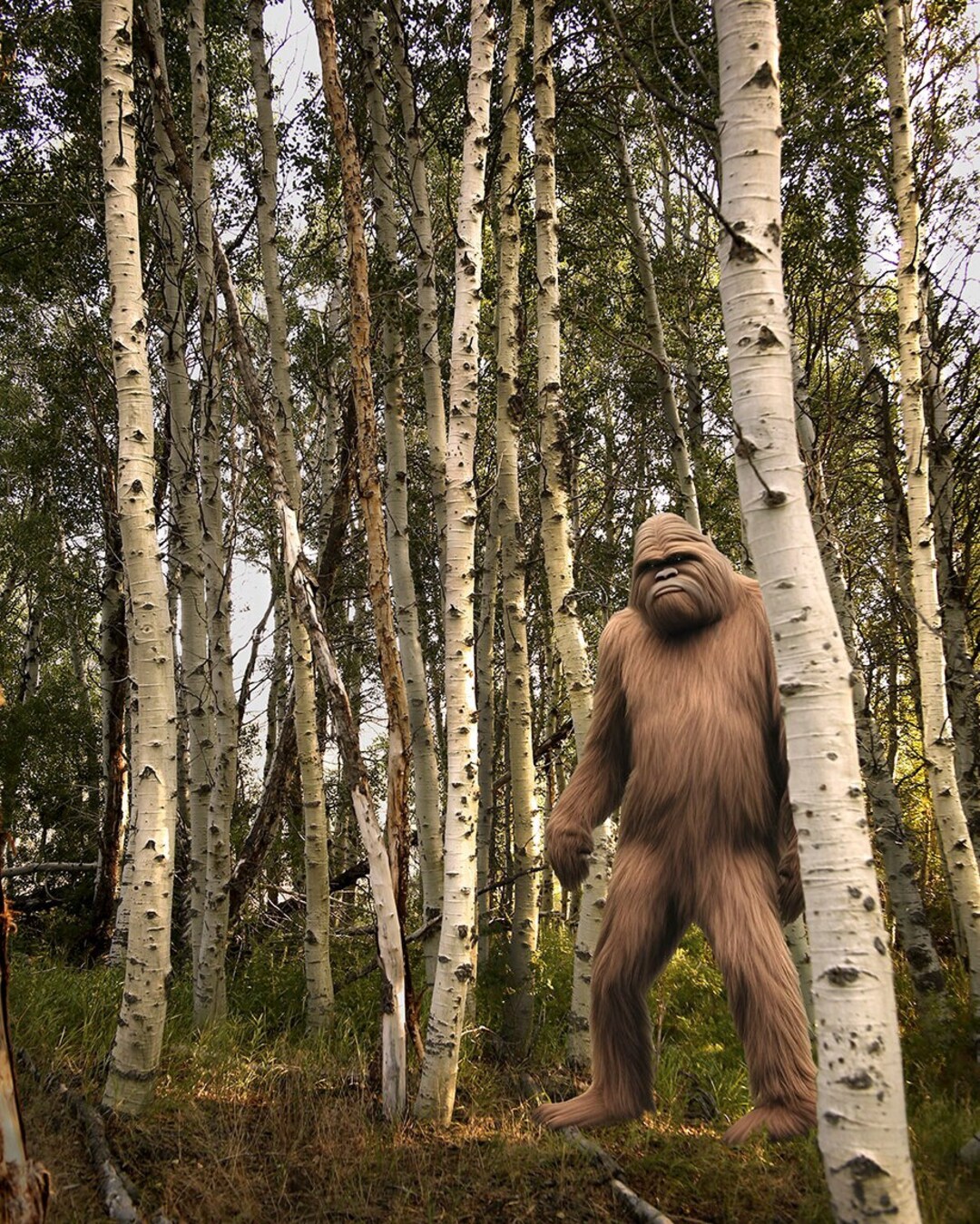 Bigfoot in the Trees - Etsy