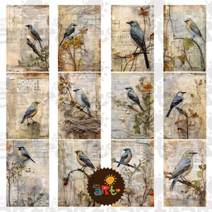 Bird Ephemera Vintage Collage Printable Junk Journal Half Papers ...