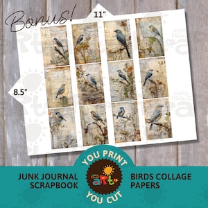 Bird Ephemera Vintage Collage Printable Junk Journal Half Papers ...