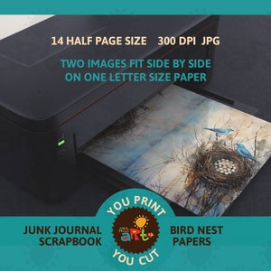 Bird Nest Printable Junk Journal Half Papers, Scrapbook Resource - Etsy