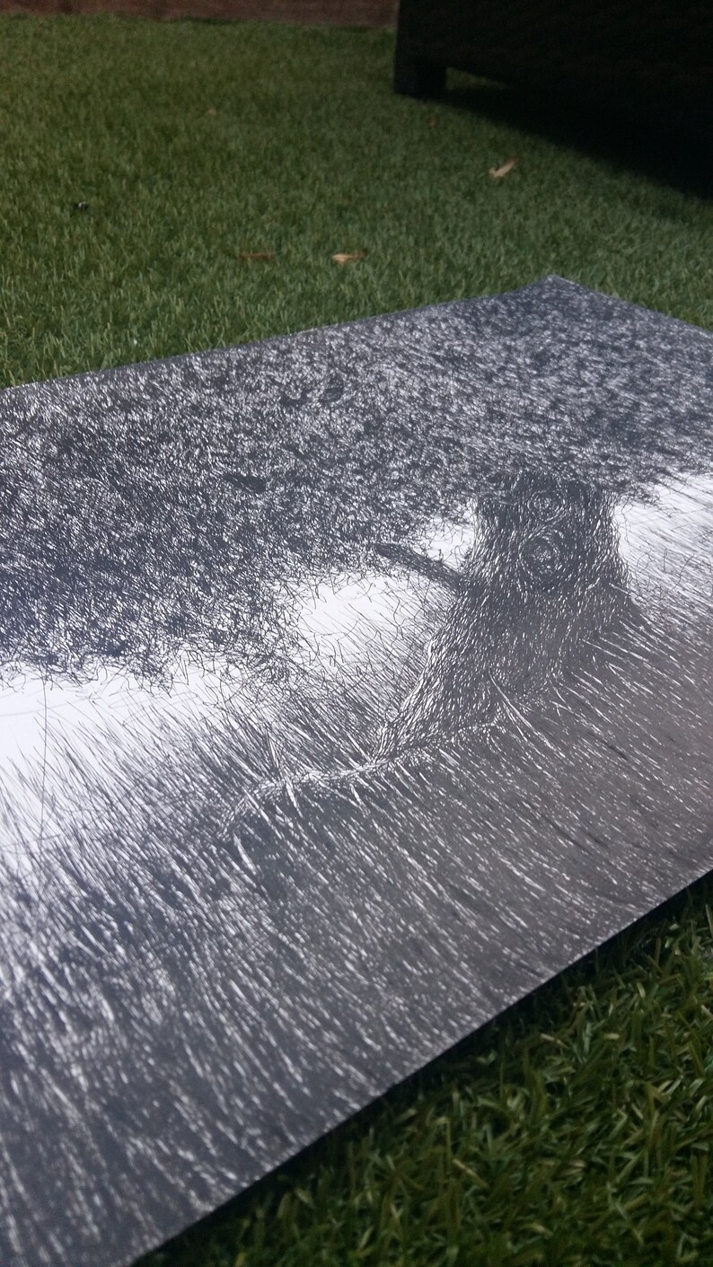 Summer Haze by Ada Polcyn, Black and White Line Drawing. Illustration ...