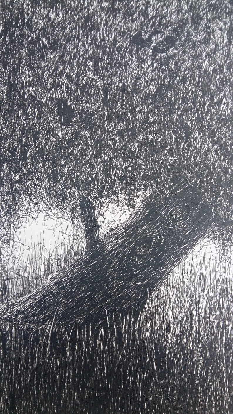 Summer Haze by Ada Polcyn, Black and White Line Drawing. Illustration ...