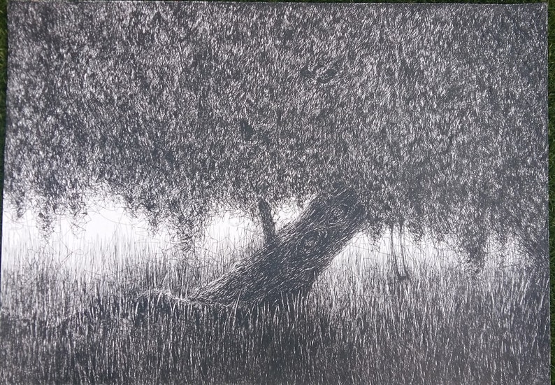 Summer Haze by Ada Polcyn, Black and White Line Drawing. Illustration ...