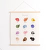 Gildan 64000 Swiftpod Color and Size Chart Shirt Colors Shirt Color ...