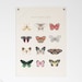 Butterflies Canvas Banner Girls Room Decor Kids Wall Art - Etsy