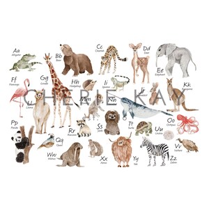 Animal Alphabet Chart | Wall Decor | Homeschool Decor | Classroom Decor ...