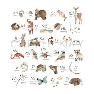 Woodland Alphabet Canvas ABC Wall Hanging for Kids Homeschool Decor for ...