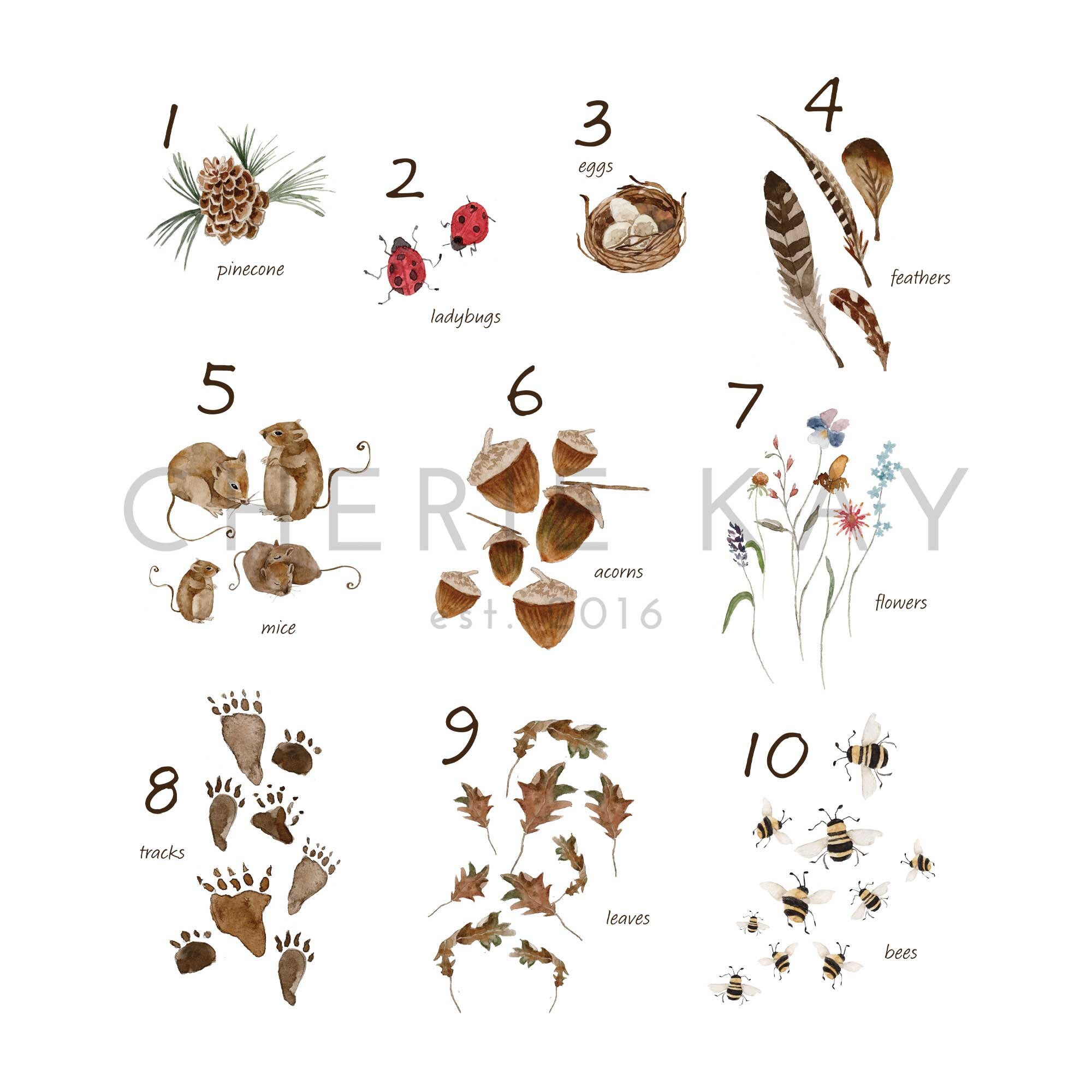 Woodland Numbers Numbers Sign Fabric Wall Hanging Kids - Etsy