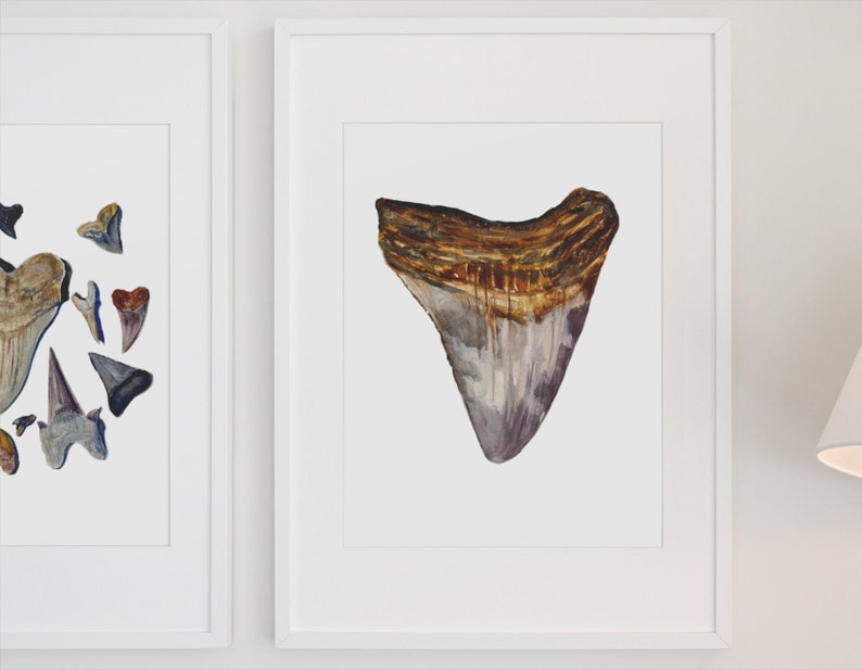 SHARK TEETH Wall Art SET, Digital Download of Shark Tooth Collection ...