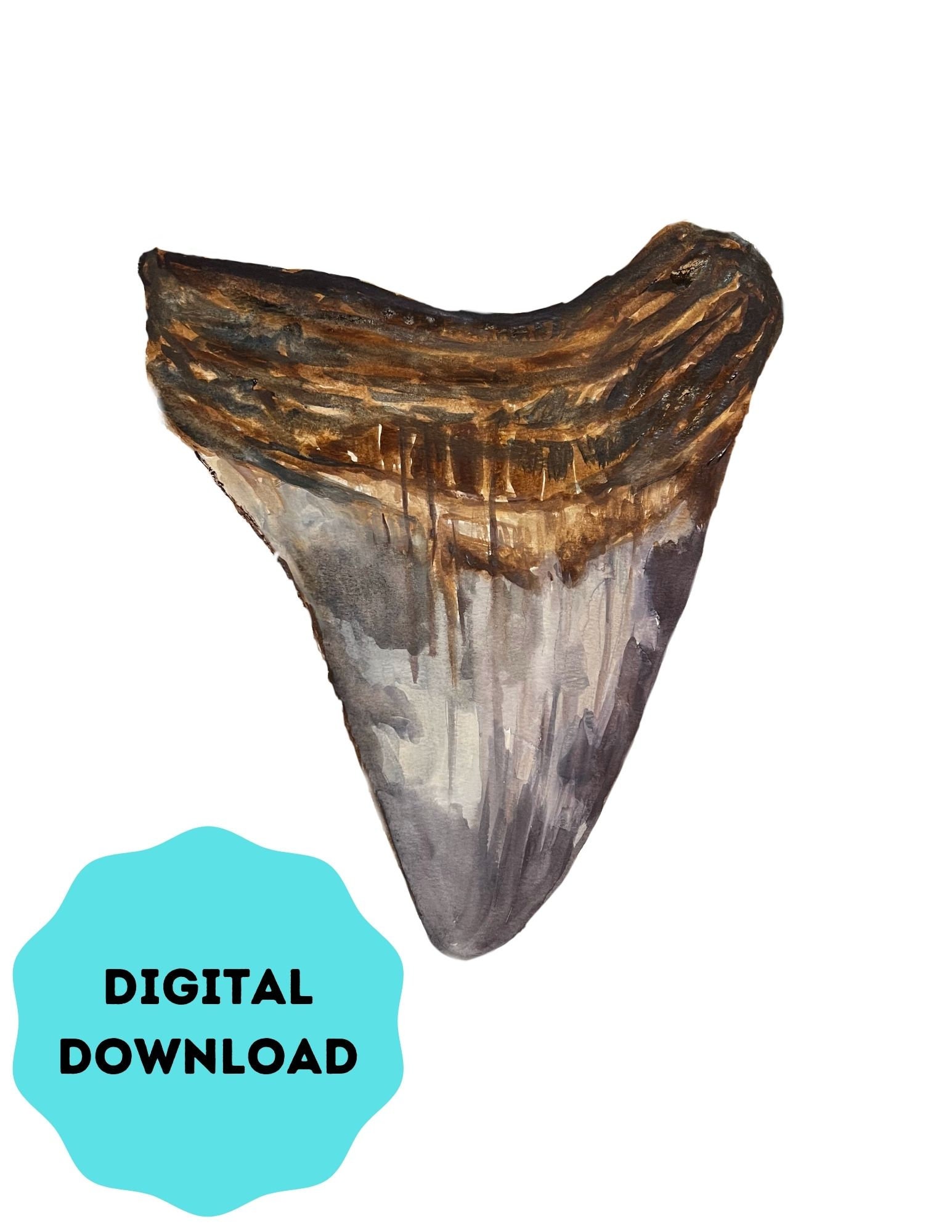 SHARK TEETH Wall Art SET, Digital Download of Shark Tooth Collection ...