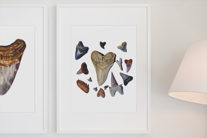 SHARK TEETH Wall Art SET, Digital Download of Shark Tooth Collection ...