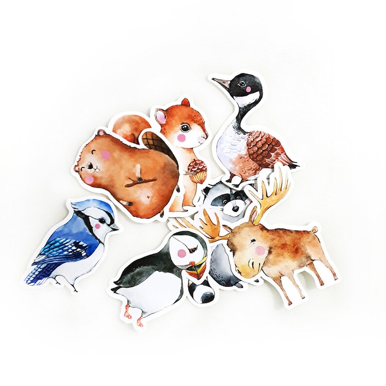 Wild Animals Sticker Set Sticker Pack Die Cut Stickers | Etsy