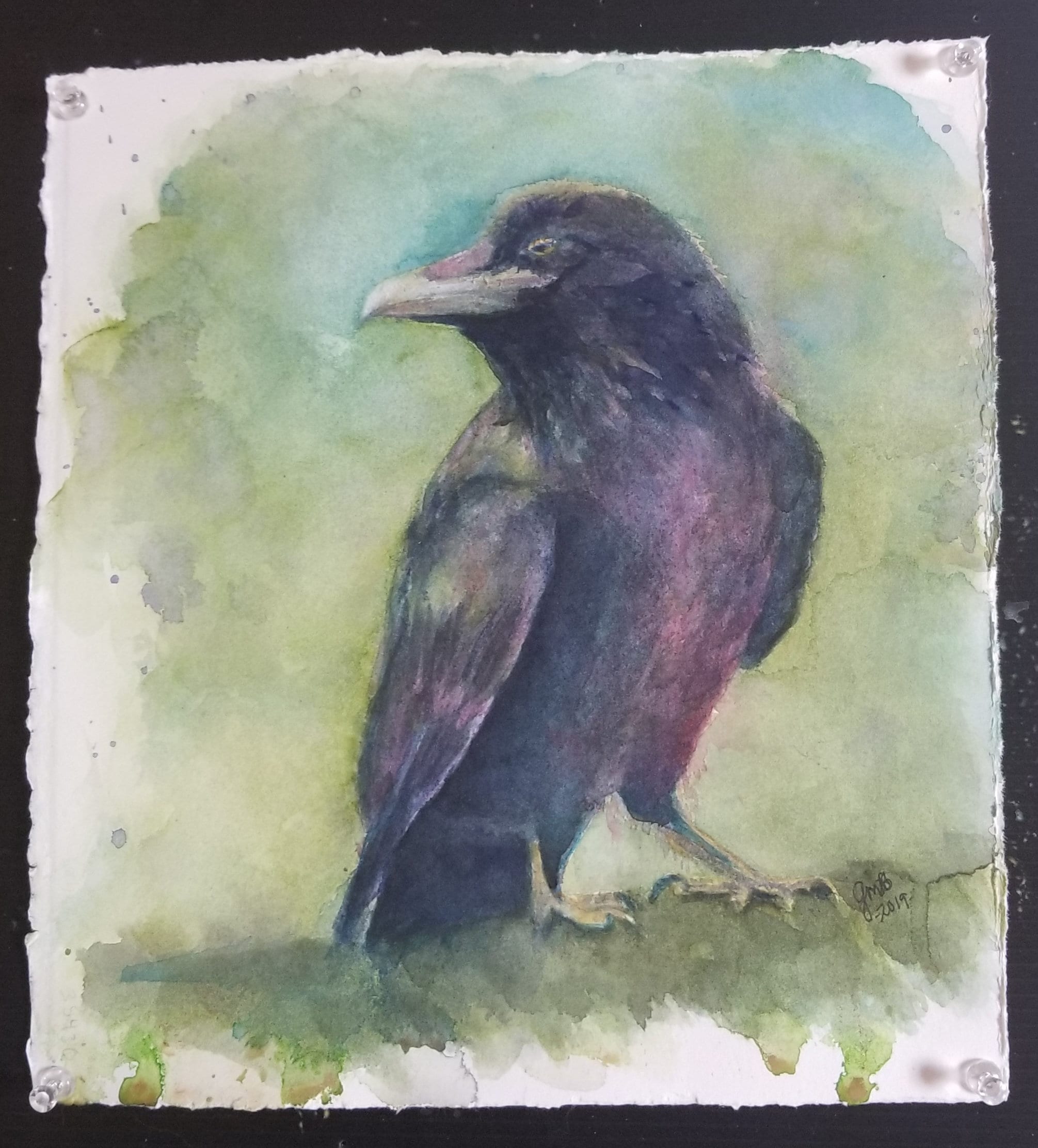 A Raven- Original Watercolor Painting - Etsy