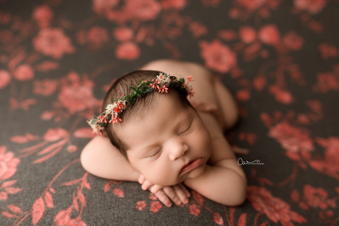 Scarlet Floral Backdrop, Newborn Photo Prop, Charcoal and Red Floral ...