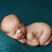 Frasier Green Backdrop, Newborn Photo Prop, Teal Posing Fabric, Newborn ...