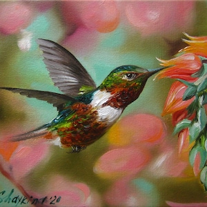 Original Oil Painting Hummingbird on Canvas: Realistic Bird Art - Etsy