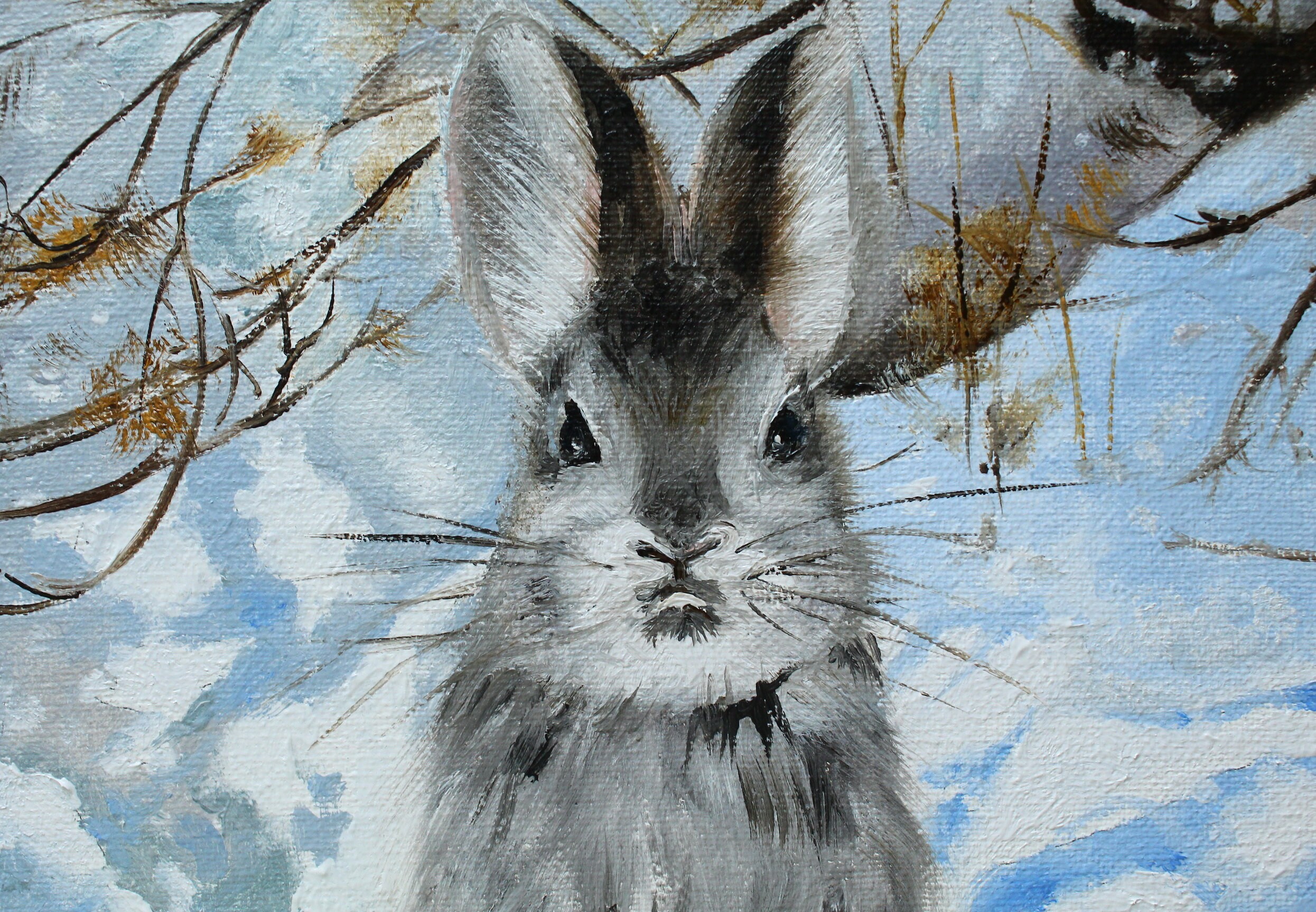 Rabbit art oil painting original picture framed 8x8 Rabbit | Etsy