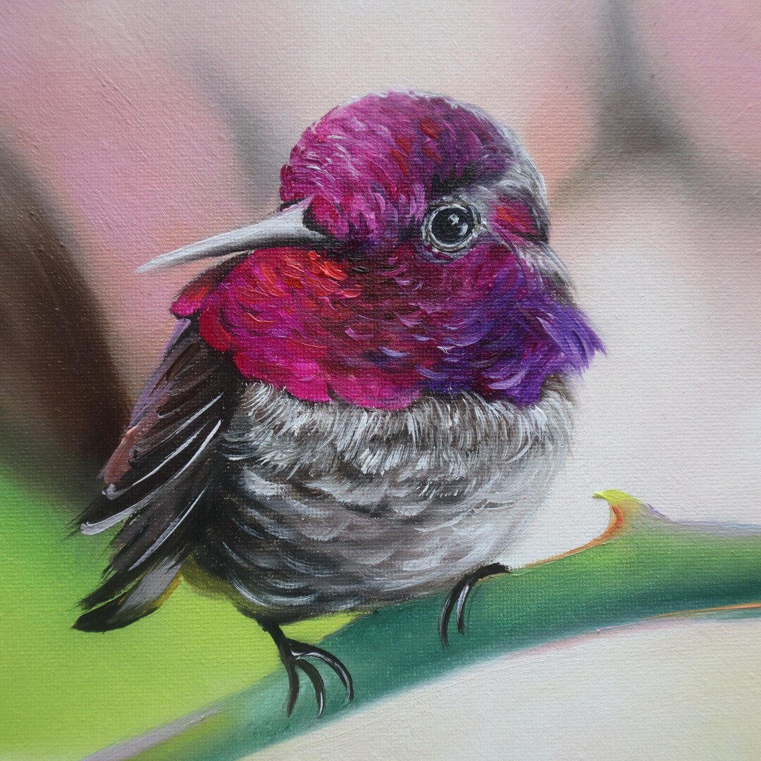 Hummingbird Original Oil Painting on Canvas, American Birds Animal ...
