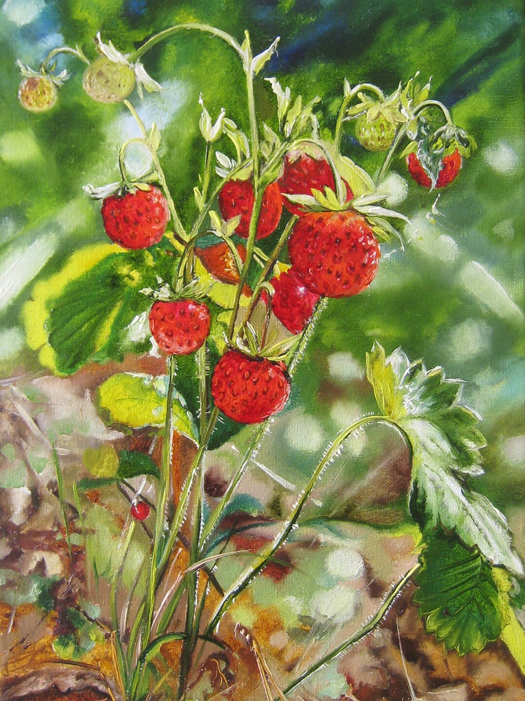 Original Oil Painting Strawberry Bouquet, Wood Scene Paintings on ...