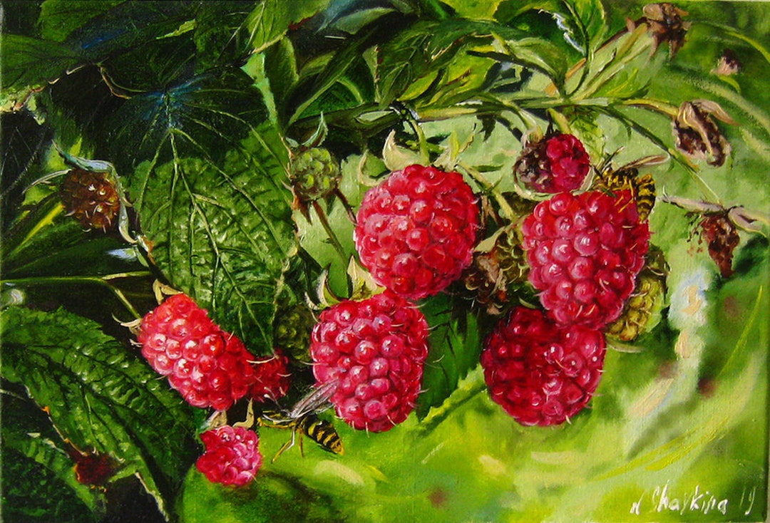 Original Oil Painting of Raspberries for Kitchen Wall Decor, Raspberry ...