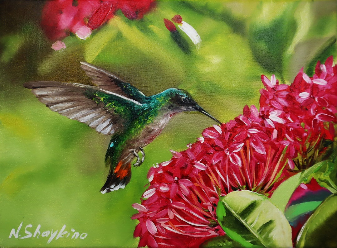 Original Oil Painting Hummingbird and Red Flower, Beautiful Paintings ...