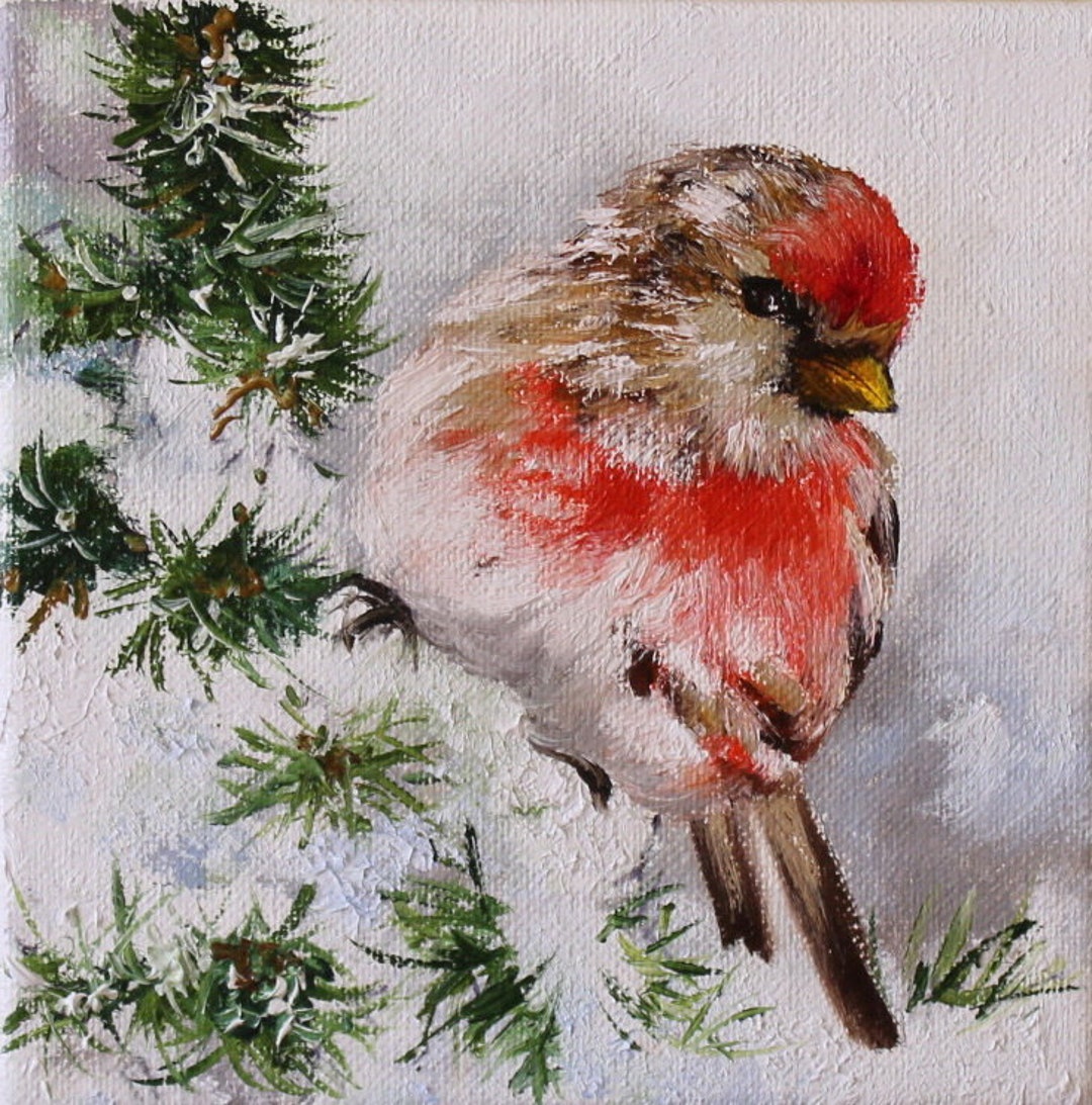 Christmas Bird Original Oil Painting on Canvas, Small Painting of Red ...