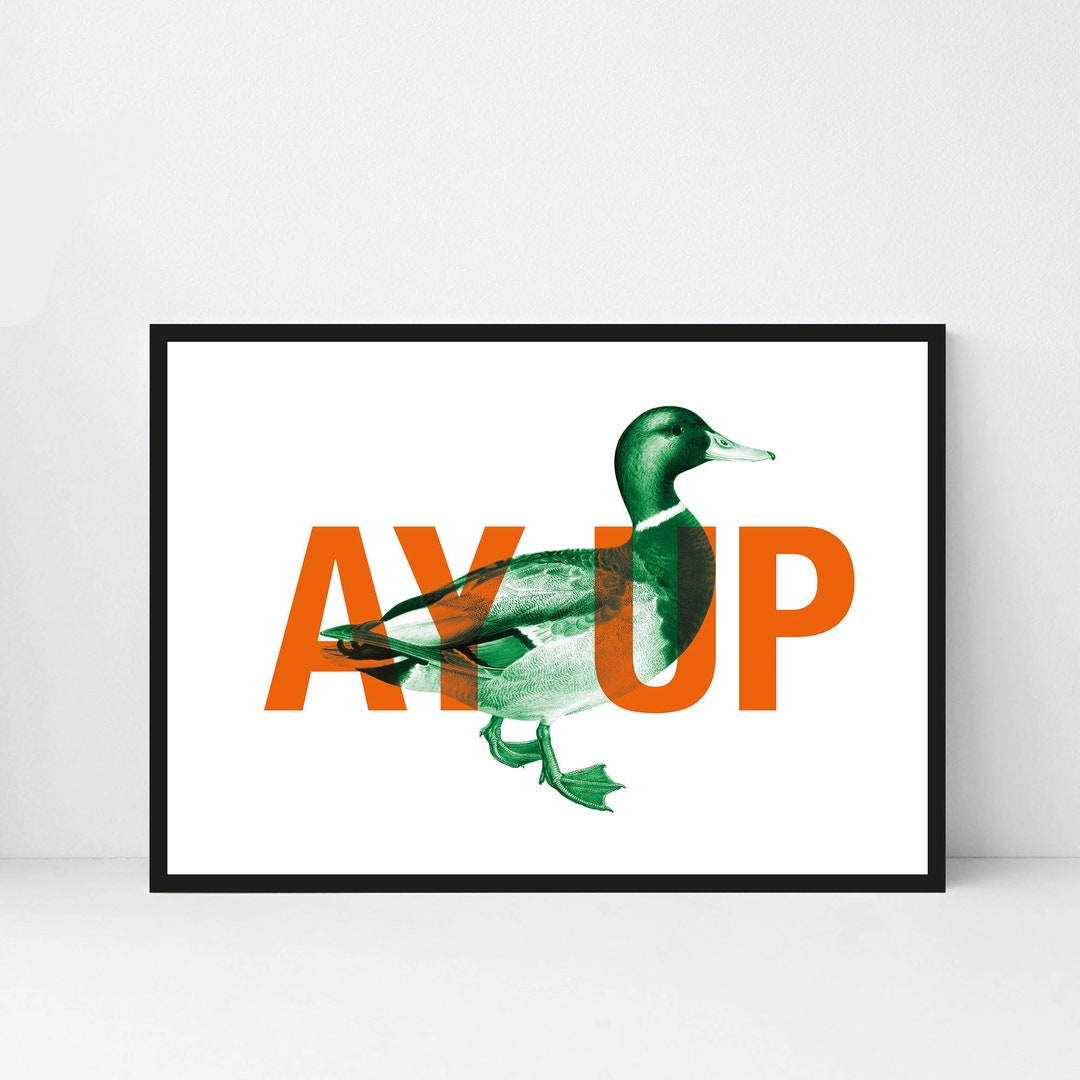 Ay up Duck Print Fun Wall Art Yorkshire Saying, Slang, Dialect - Etsy